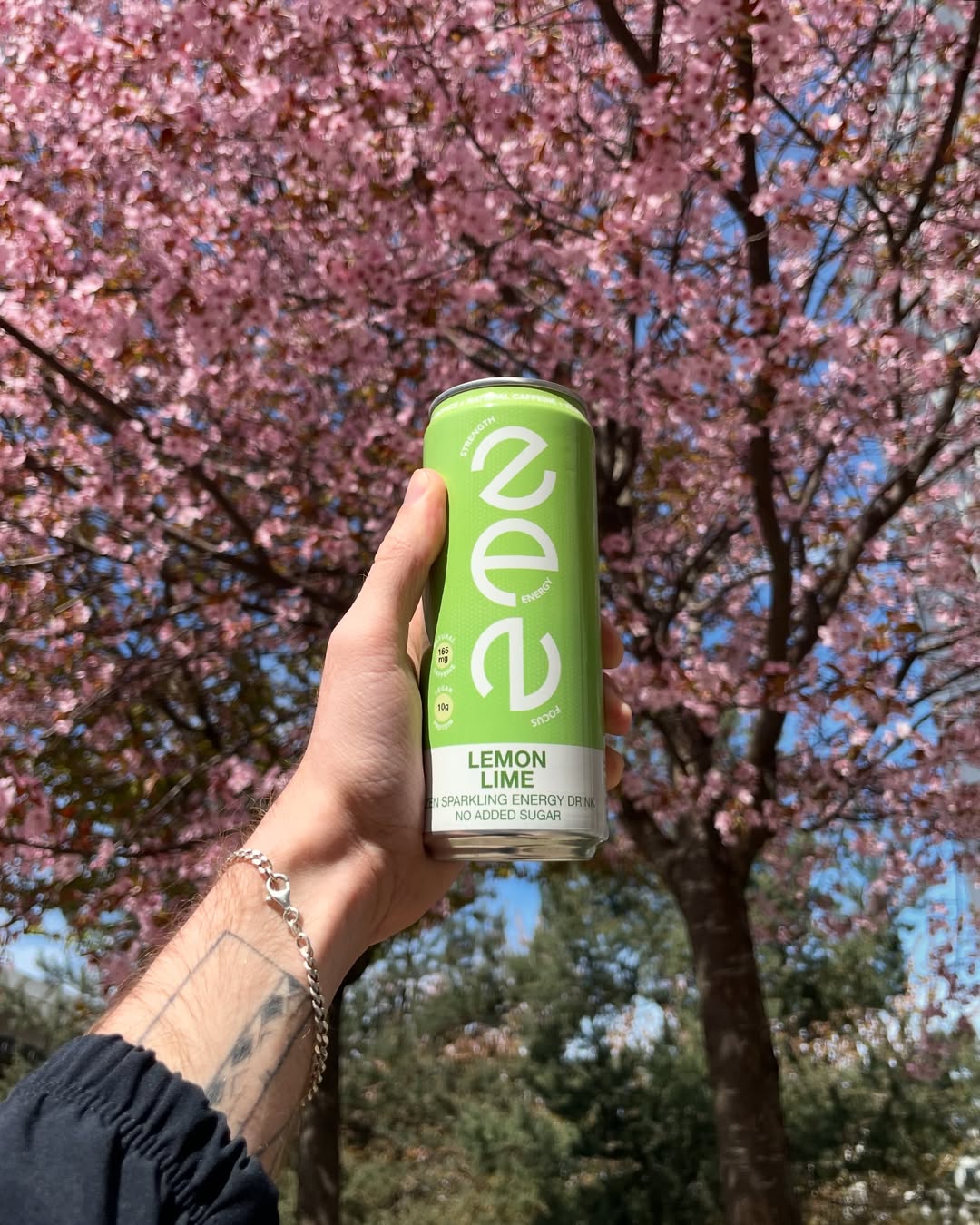 ZEN Energy Drink – Natural Caffeine, Vegan Protein, and Nootropics ...